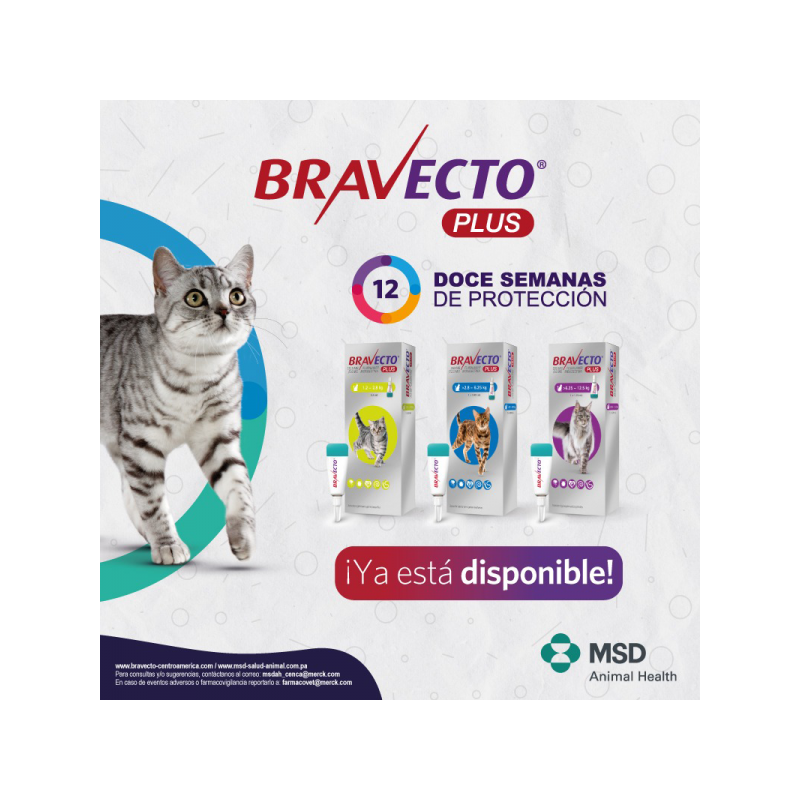 Bravecto Plus Tamaño 1.2-2.8kg