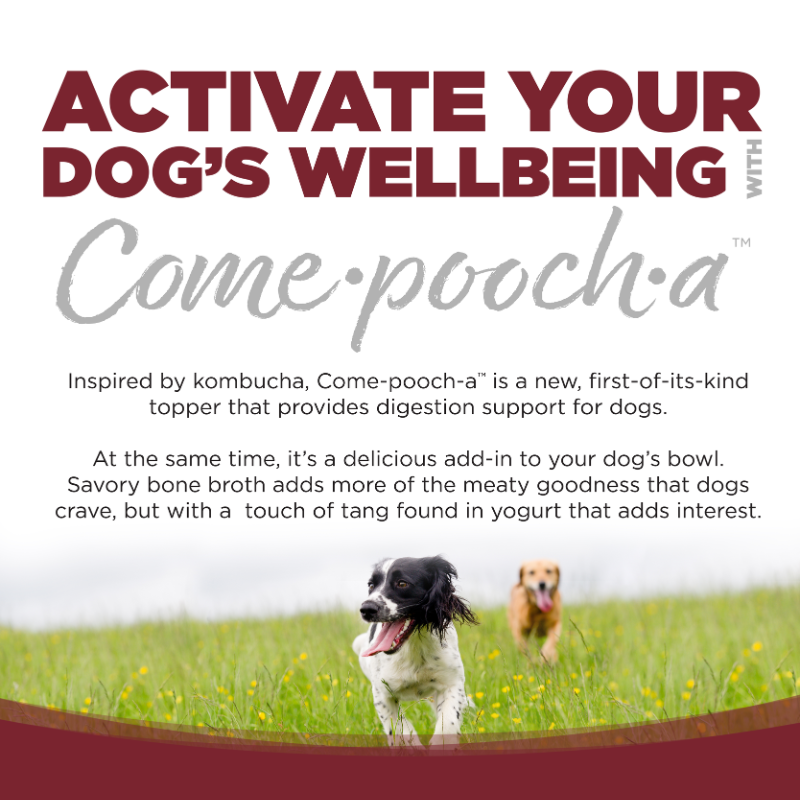 Nutrisource COME POOCH-A BEEF