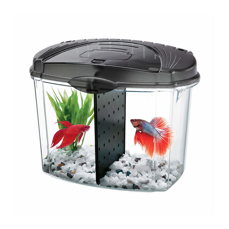 BETTA BOWL KIT 0.5 G AQUEON Color Negro