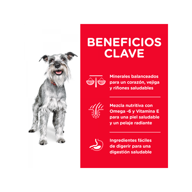 Hills Science Diet Small Paws 7+ Tamaño 4.5 lbs